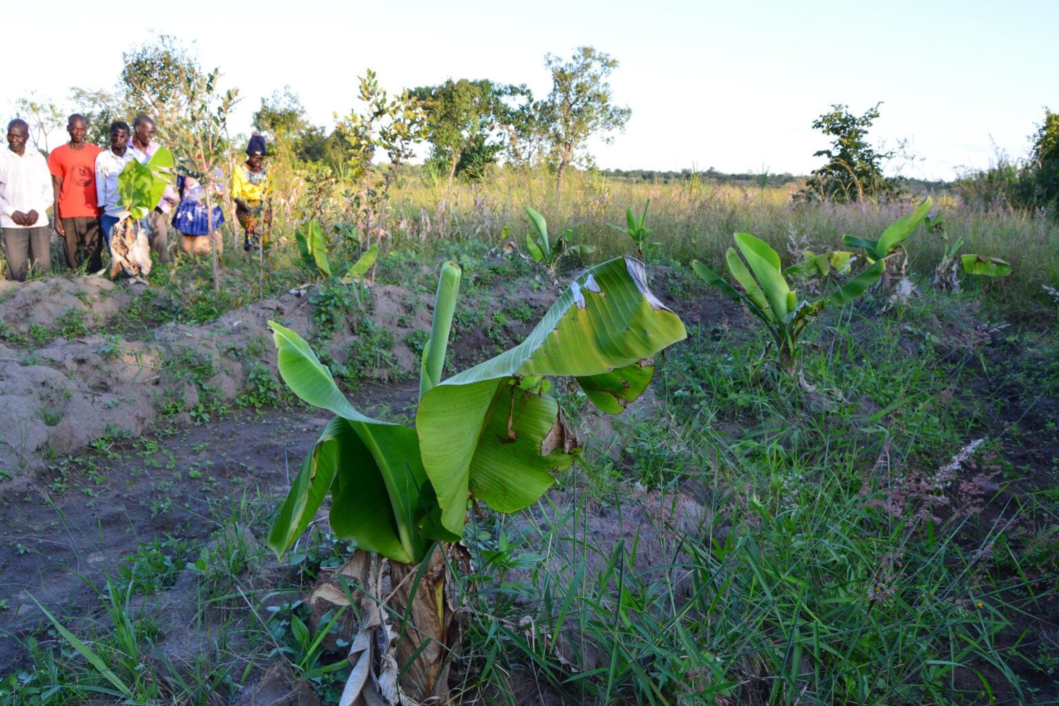 Climate Resilience in Malawi: Insights from Princeton University ...